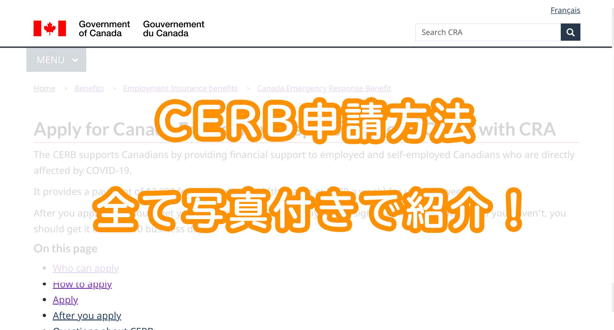 【ワーホリ・留学生向け必見】カナダのCERBの申請方法を写真付きで解説！